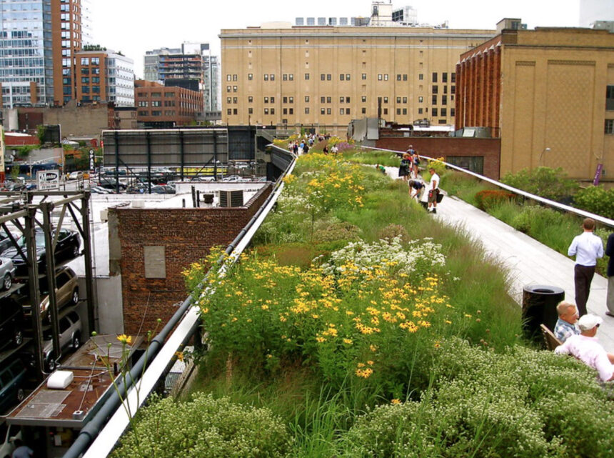 Women in Architecture: Elizabeth Diller - Optima