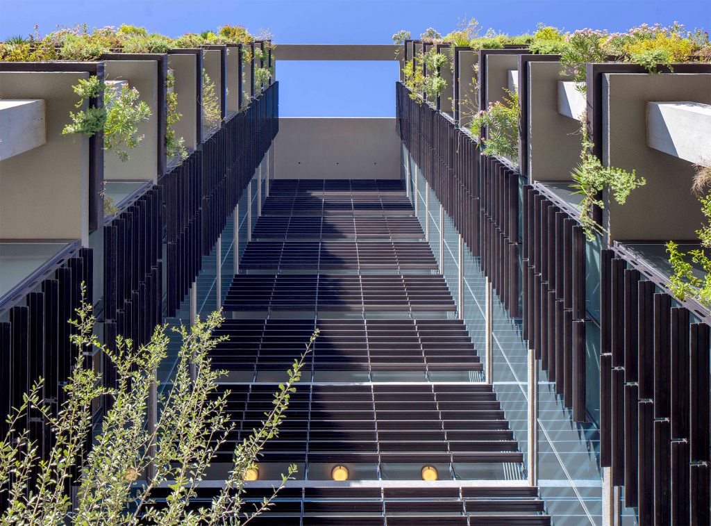 Our Portfolio - Optima