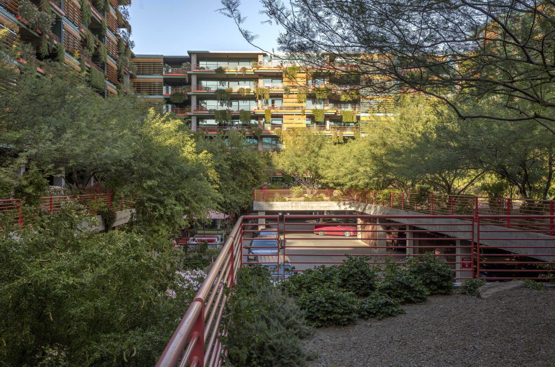 The Optima Story: Over 40 Years of Passion - Optima