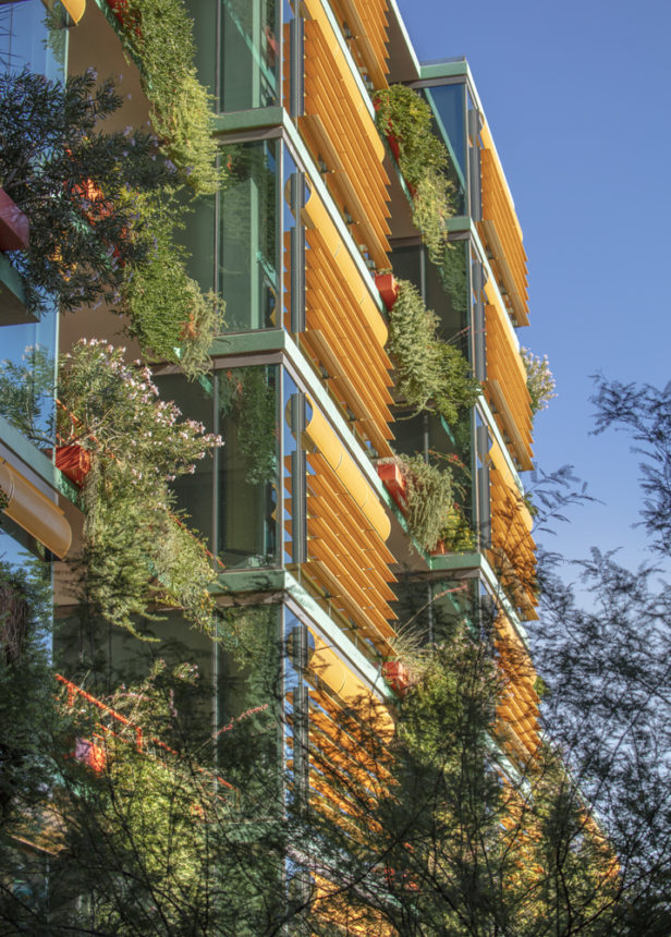 An Inside Look at Architecture Lingo - Optima