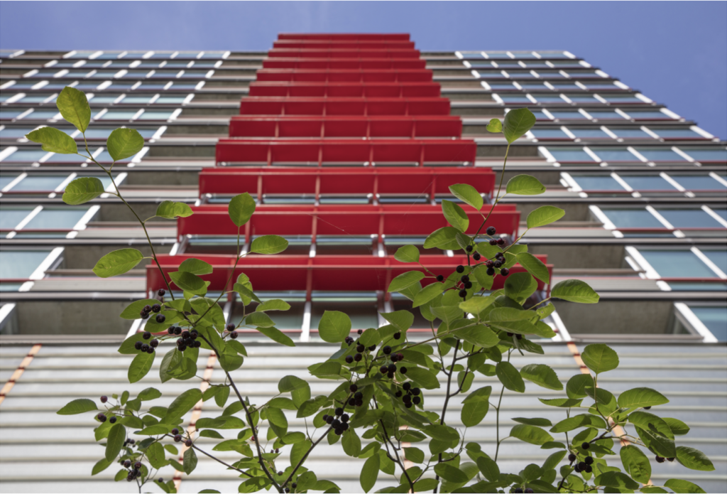 Neighborhood Spotlight: Evanston - Optima