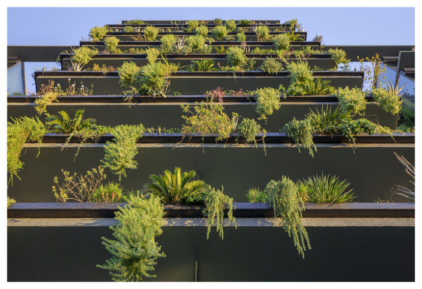 Our Signature Vertical Landscaping System - Optima
