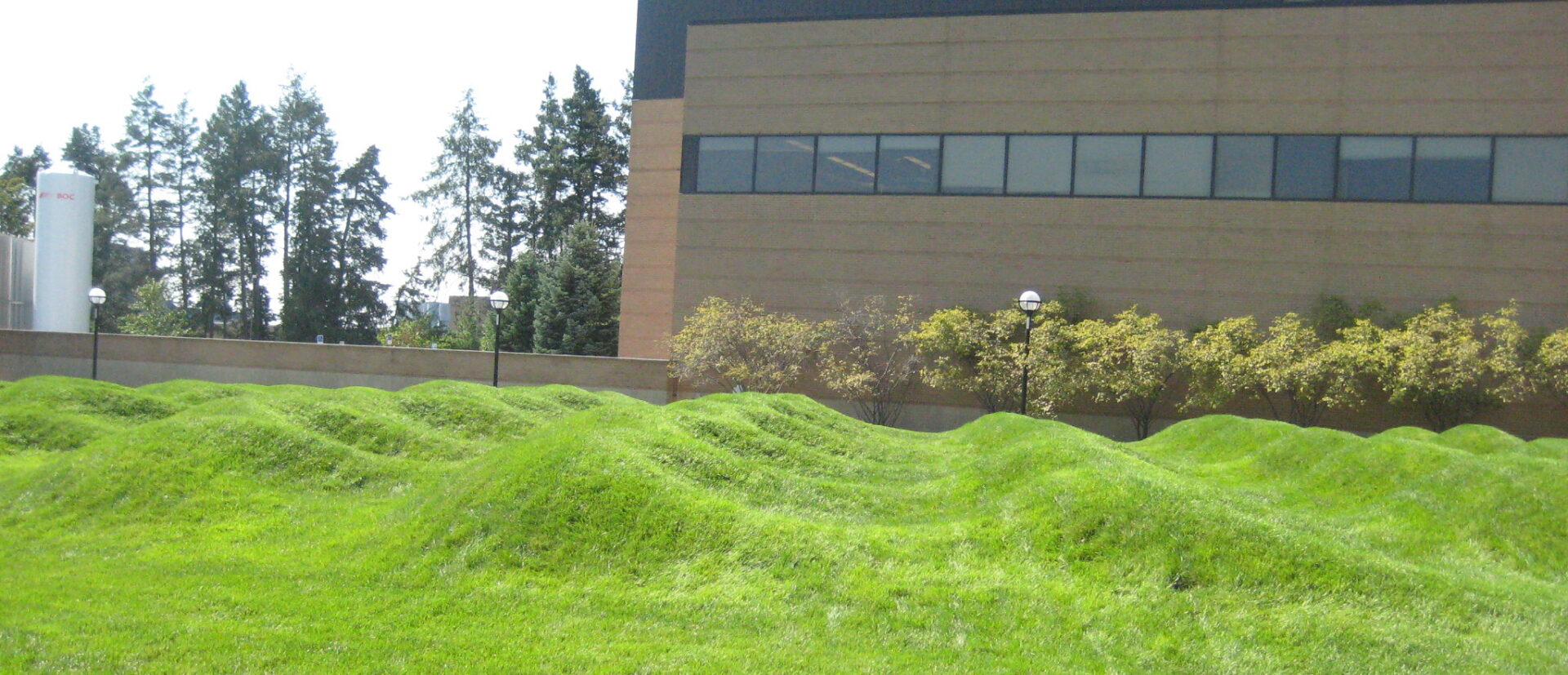 maya lin Archives - Optima