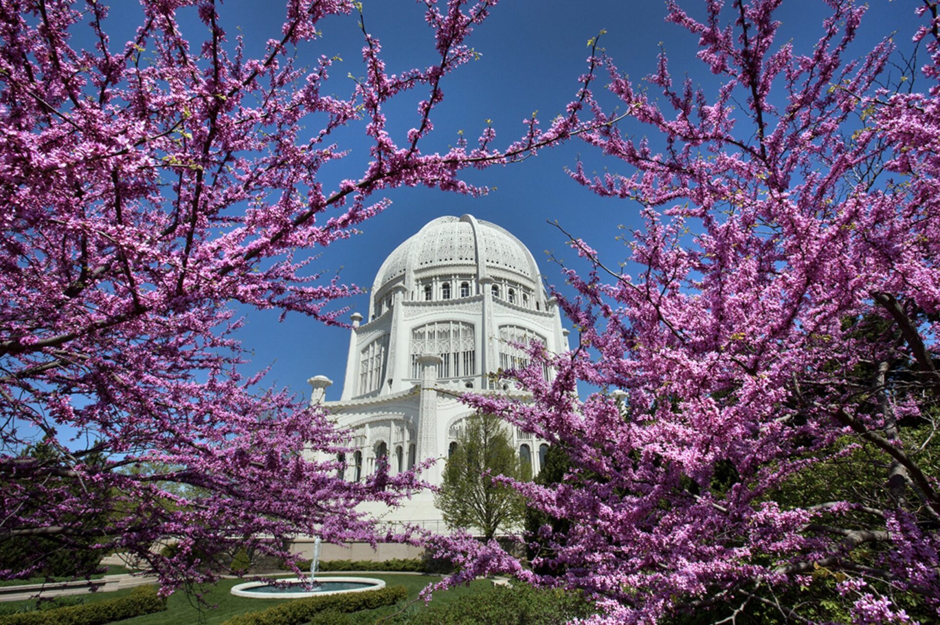 Optima Communities: Exploring Wilmette’s Rich History - Optima
