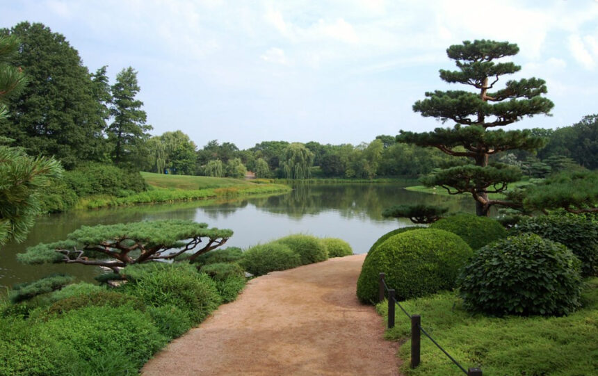 Autumn in Chicago & Scottsdale - Optima