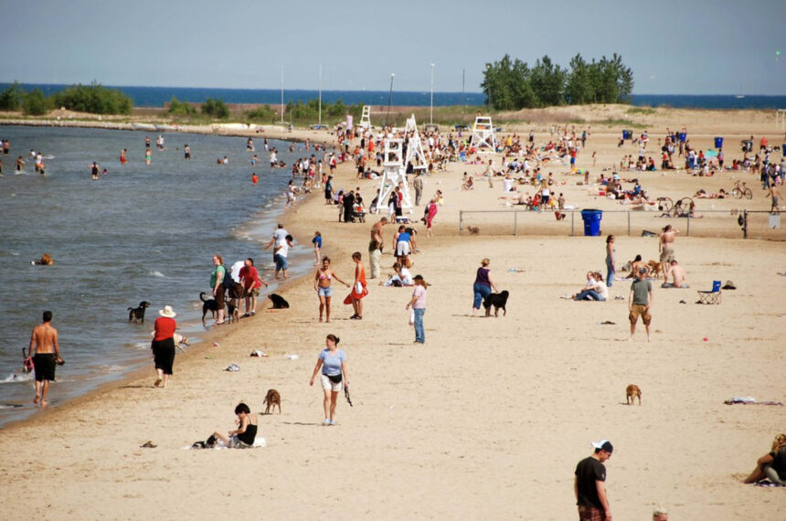 chicago beaches Archives - Optima