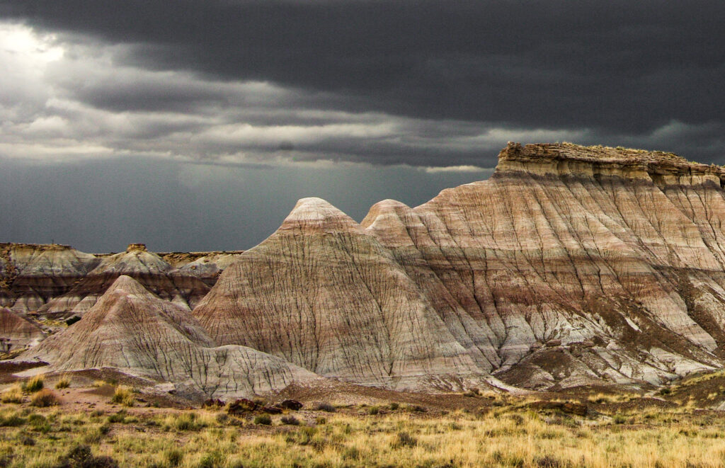 The Wonders of Petrified Forest National Park - Optima