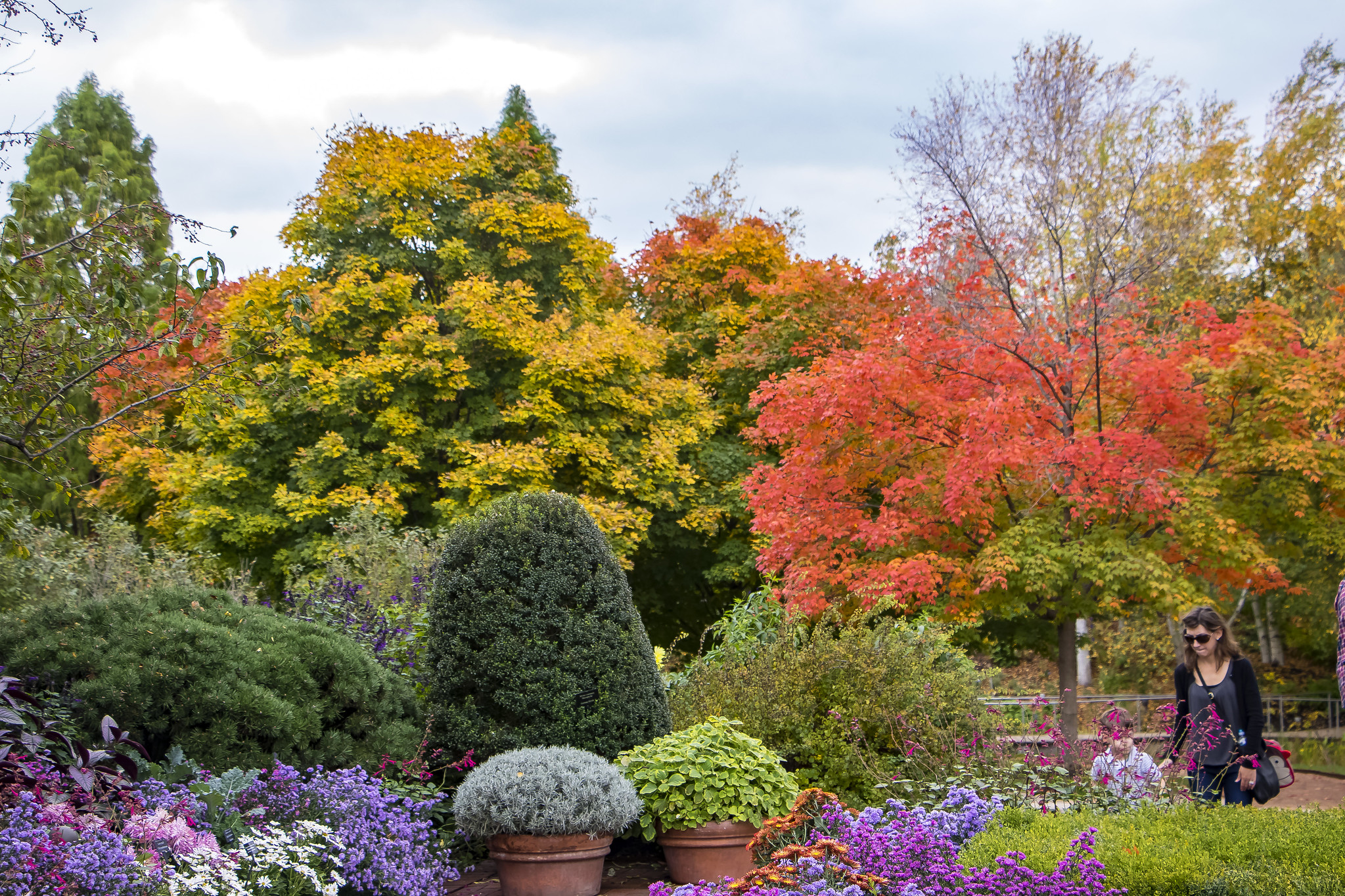 Celebrate Autumn at the Chicago Botanic Garden's Annual Fall Festival ...