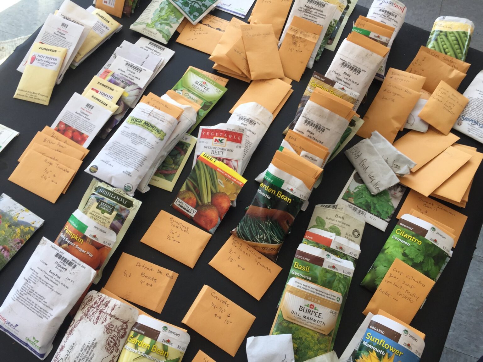 Bringing Nature Home: Exploring Chicago’s Seed Library - Optima